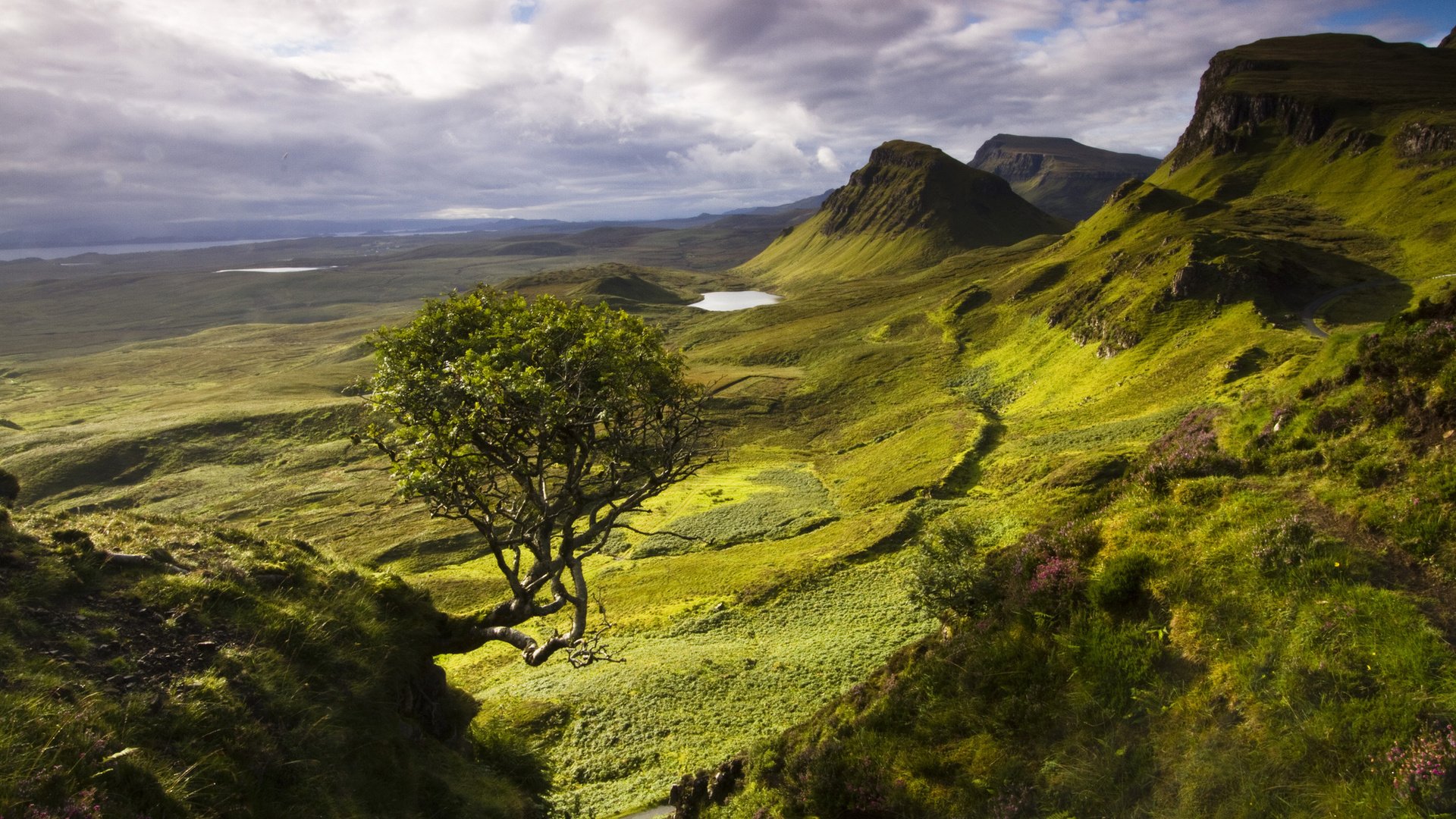 nature, Landscape, Beautiful, Wild Wallpapers HD / Desktop and Mobile ...