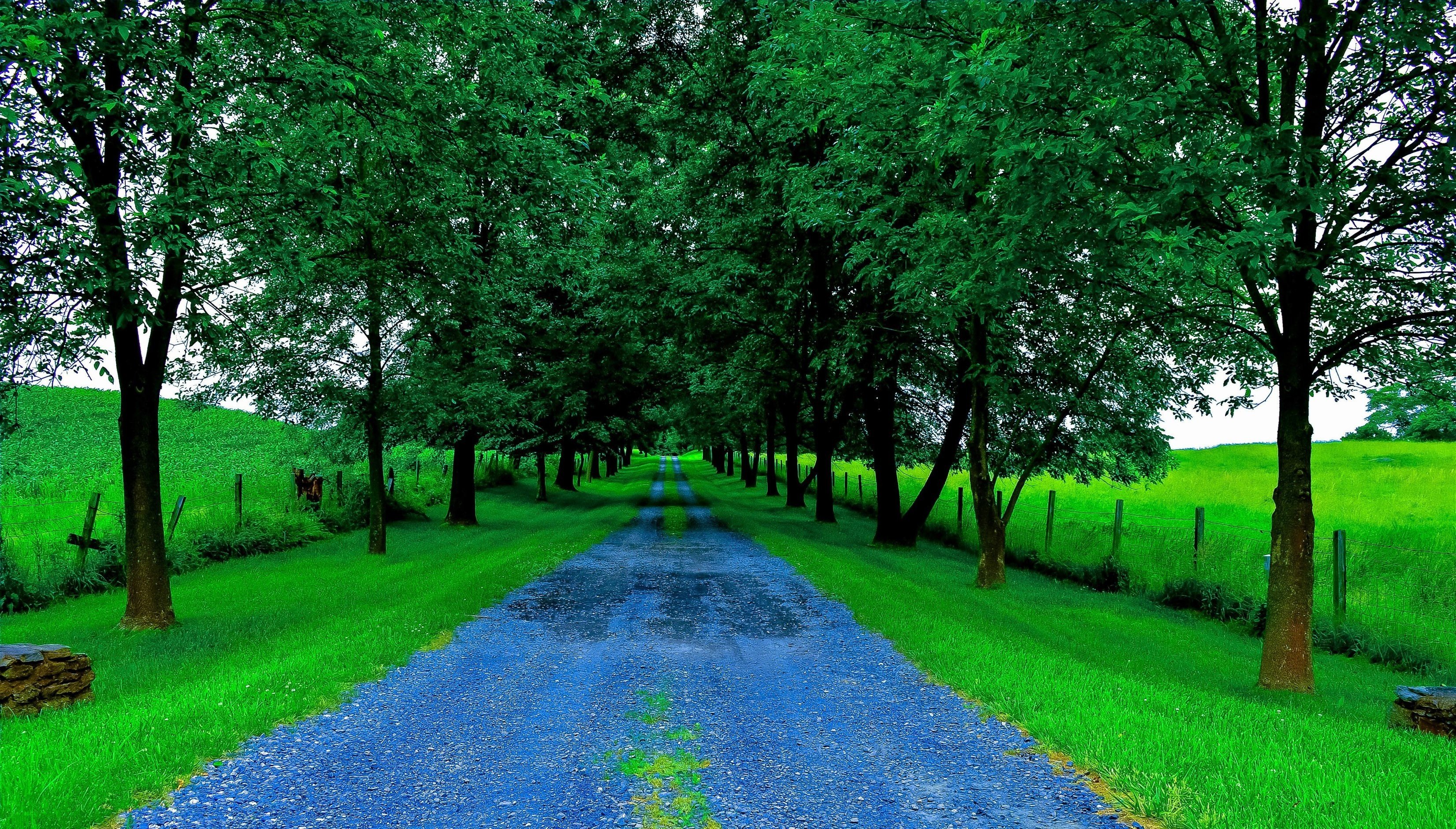 road, Trees, Field, Landscape Wallpapers HD / Desktop and Mobile ...