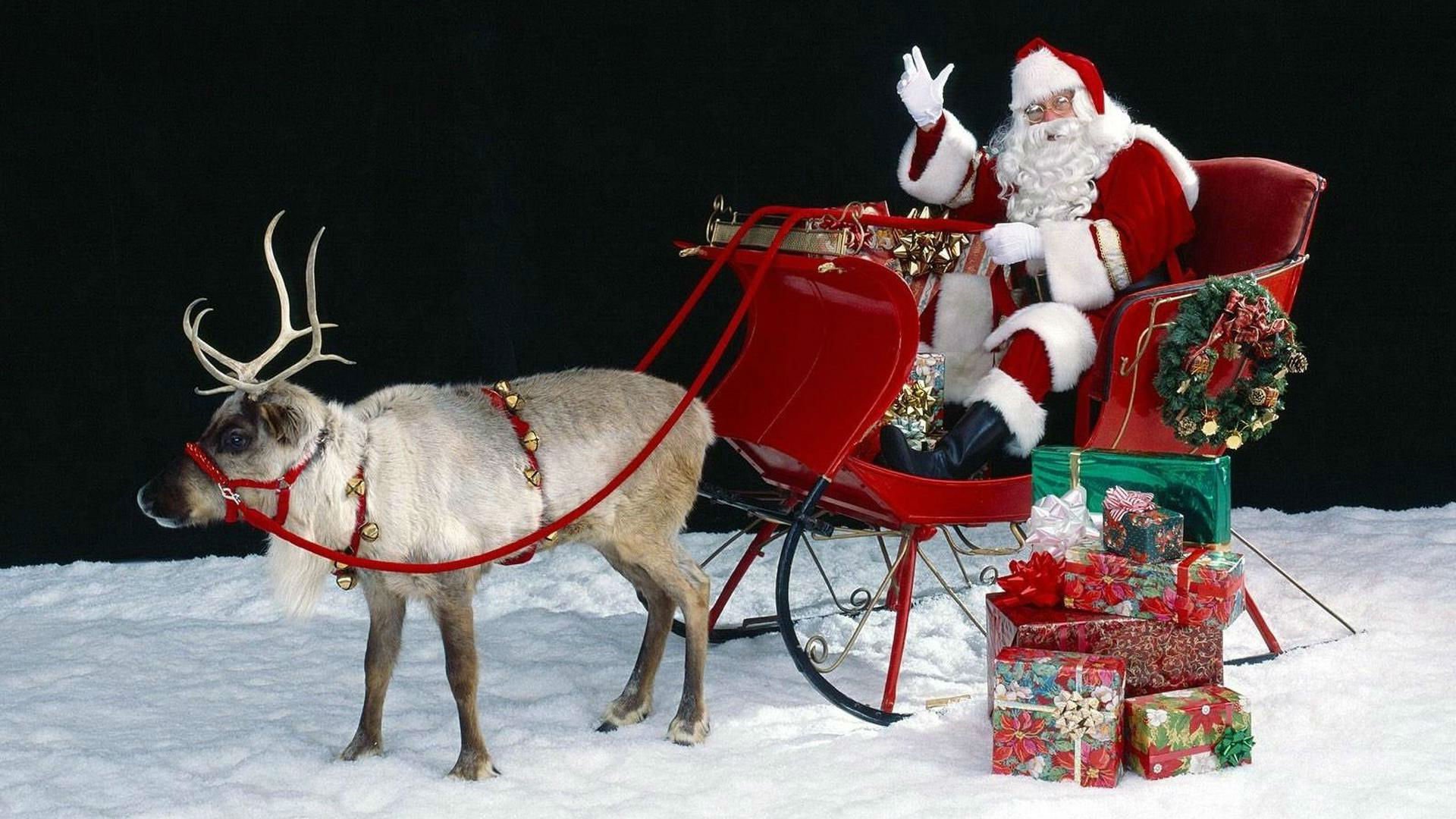 christmas, Holiday, Reindeer Wallpapers HD / Desktop and Mobile Backgrounds