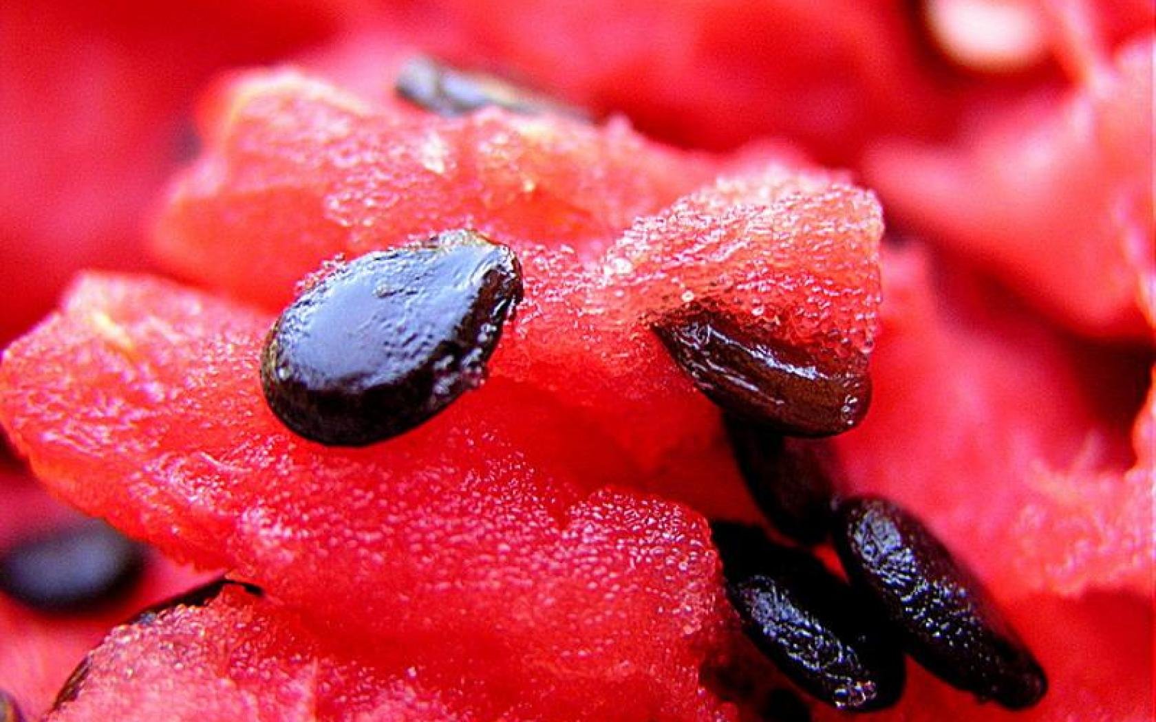 watermelon, Melon, Fruit, Red, Bokeh Wallpapers HD / Desktop and Mobile ...