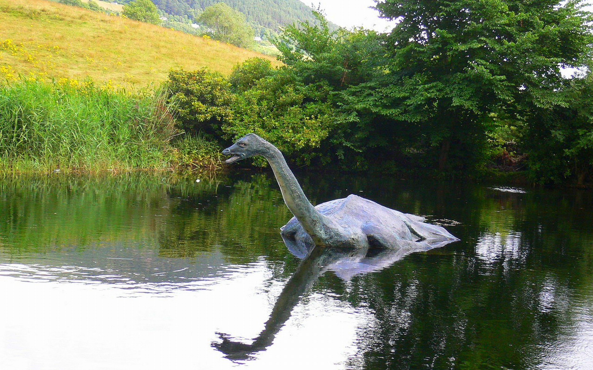 lochness, Scotland, Whisky, Monster, Lake Wallpapers HD / Desktop and ...