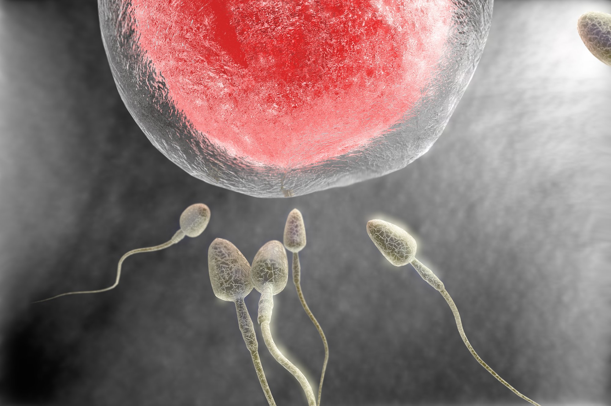 Sperm Abstraction Abstract Bokeh Life Sex Sexual Medical Dna