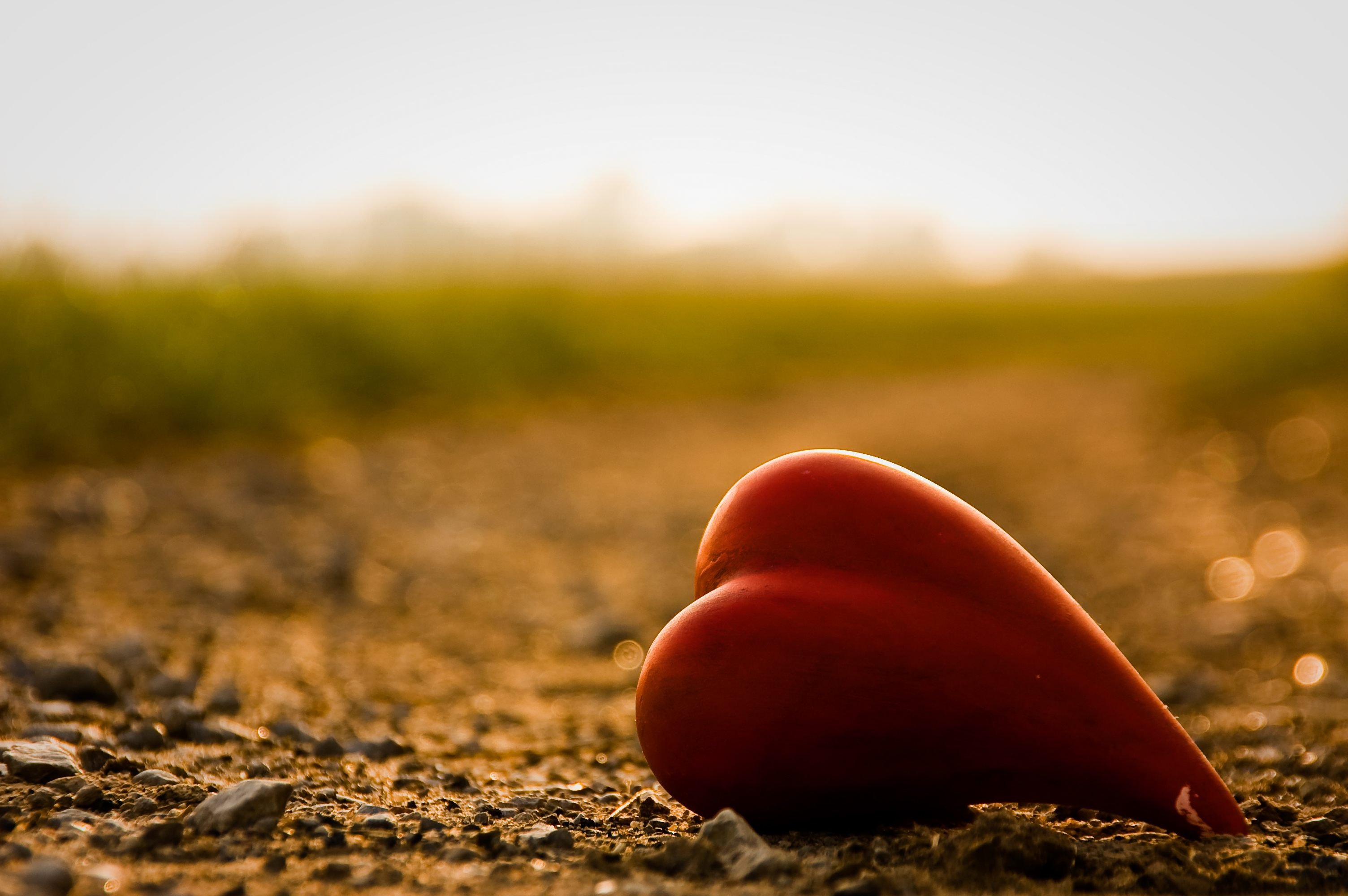 lonely, Mood, Sad, Alone, Sadness, Emotion, People, Loneliness ...