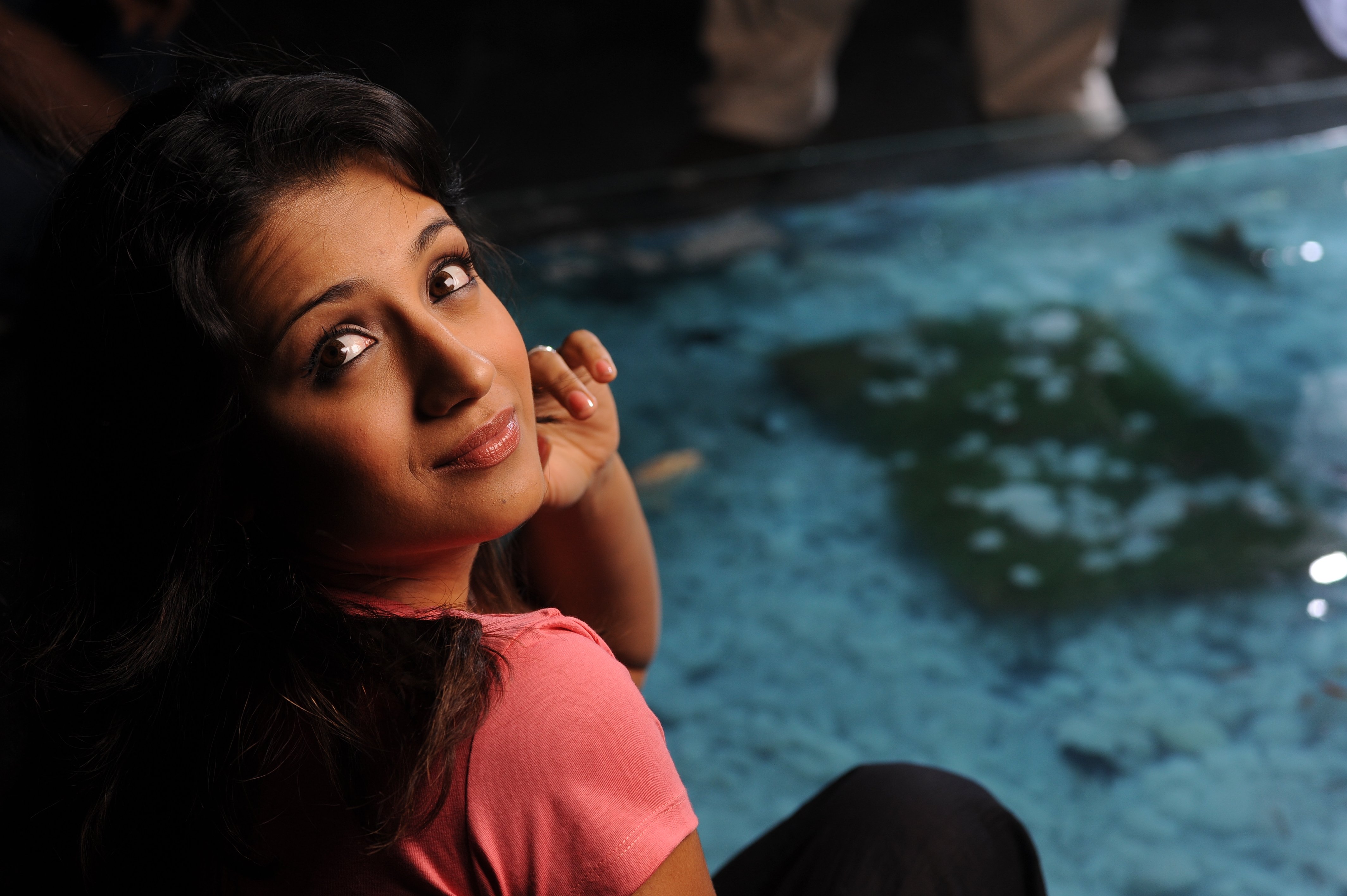 trisha, Tamil, India, Actress, People, Actresses, Hd wallpaper 509592 ...