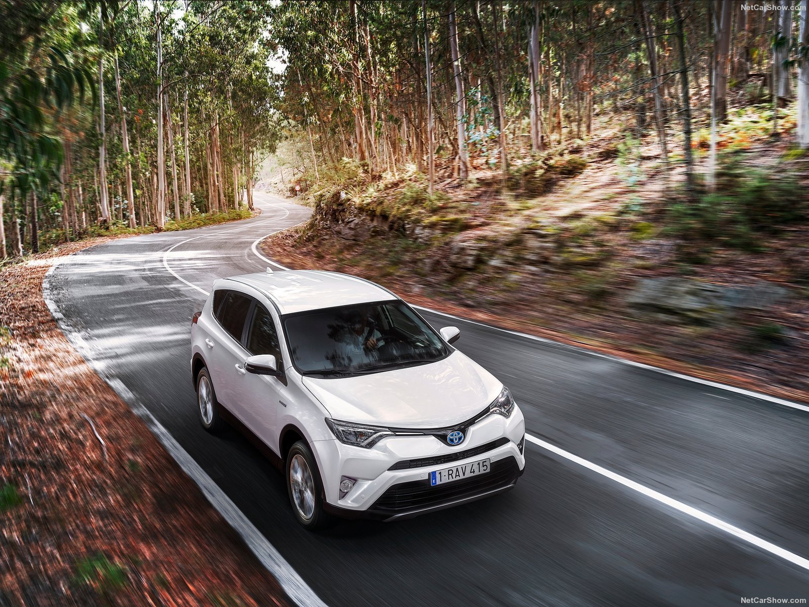 toyota, Rav4, Hybrid, Eu version, Cars, Suv, White, 2016 Wallpapers HD / Desktop and Mobile ...